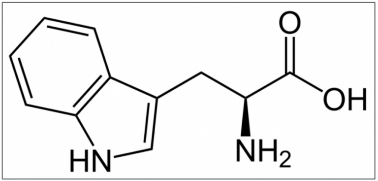 Psychedelic Tryptamine Chemistry | Psychedelics Today