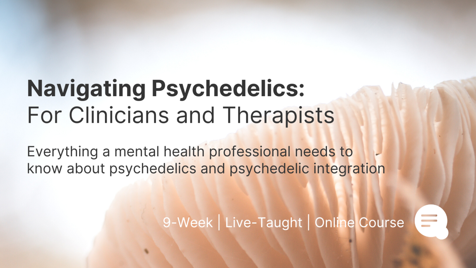 Psychedelics & the Default Mode Network | Psychedelics Today