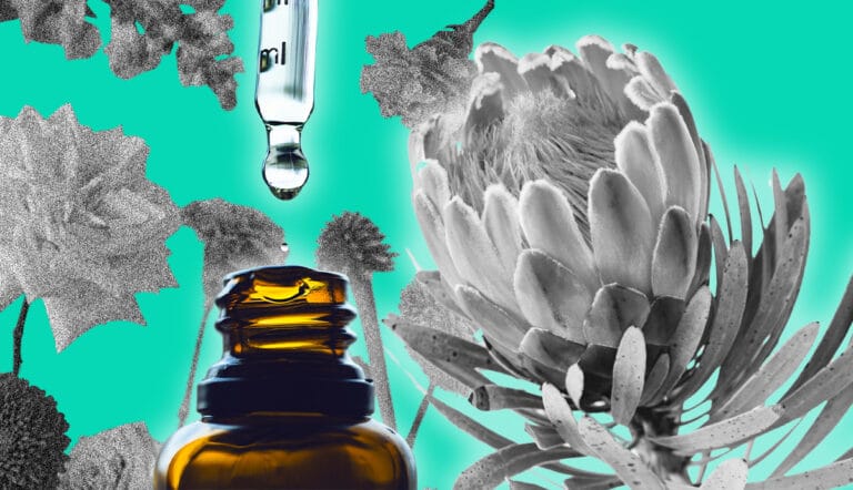 Is Cannabis Psychedelic? Examining the Scientific Evidence ...